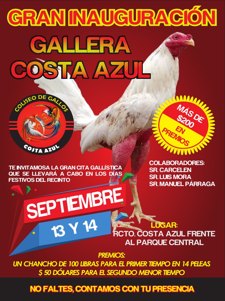 Flyer Gallera | PDF