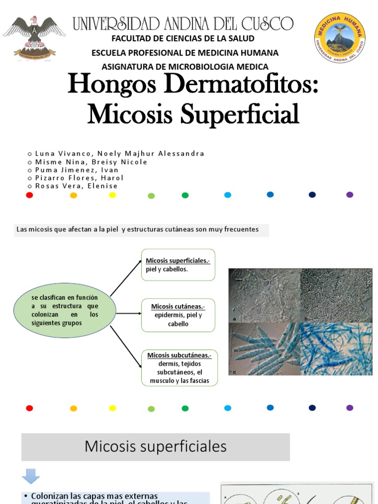 PARTE 1 Hongos Dermatofitos Micosis Superficial | PDF | Piel ...