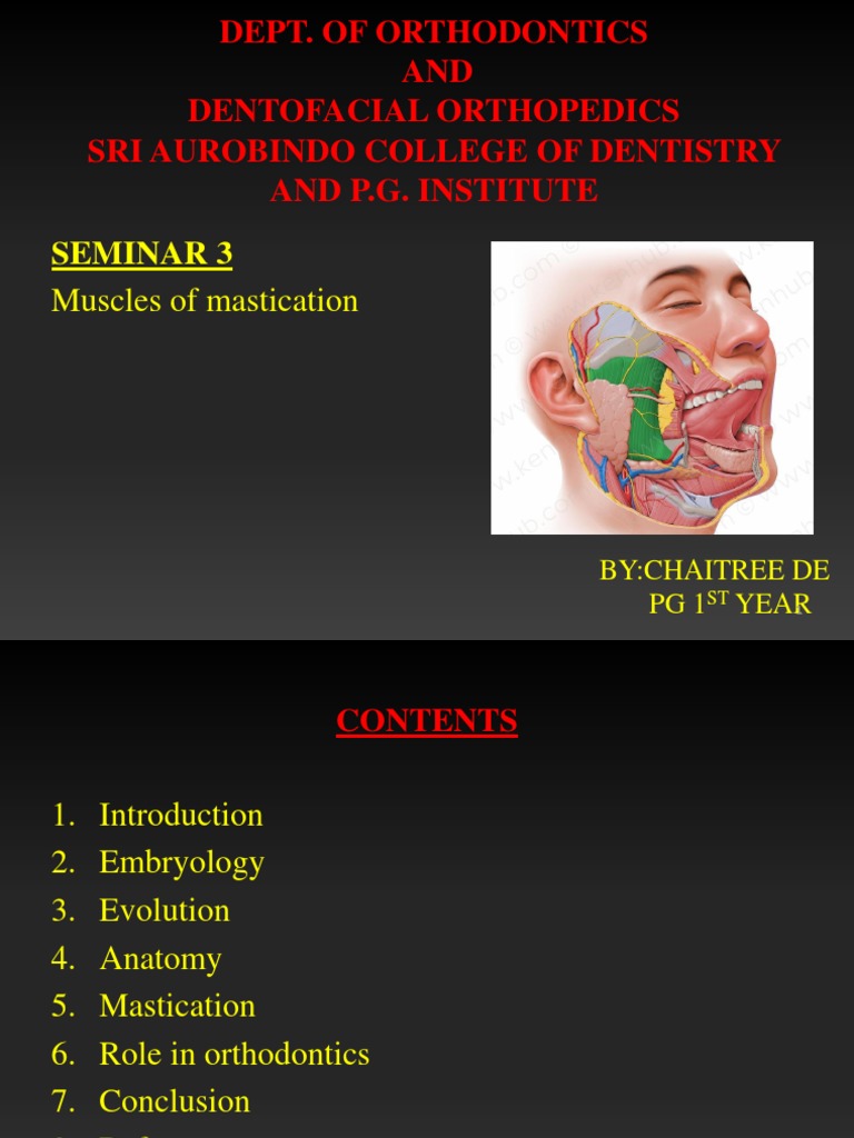 Muscles of Mastication | PDF | Soft Tissue | Primate Anatomy