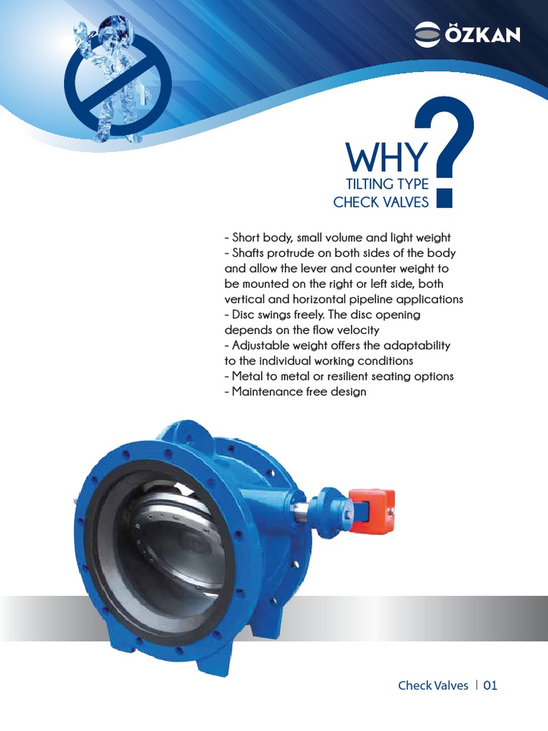 EN Check Valves Catalog v2 PDF | PDF | Valve | Screw