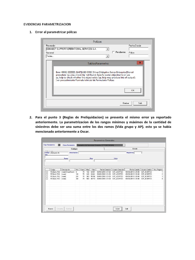 Evidencias Pruebas Unitarias Circular 025 | PDF