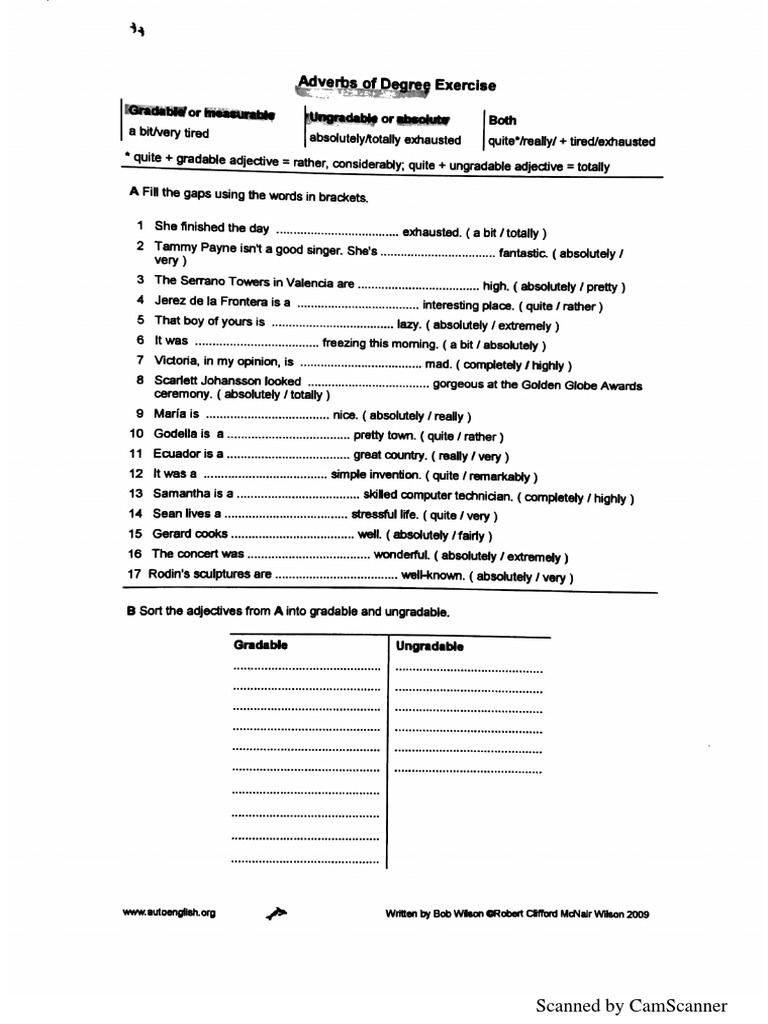 Adverbs of Degree | PDF