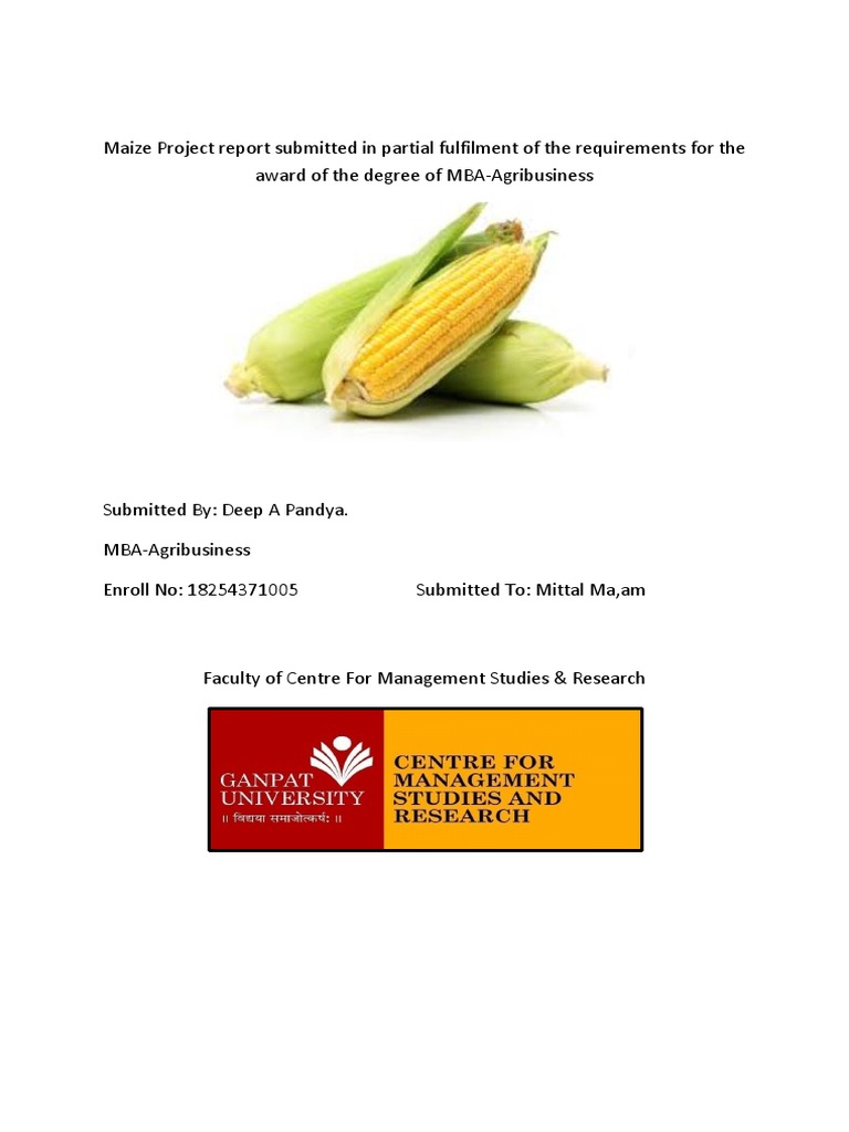 Maize Assignment Final | PDF | Popcorn | Maize