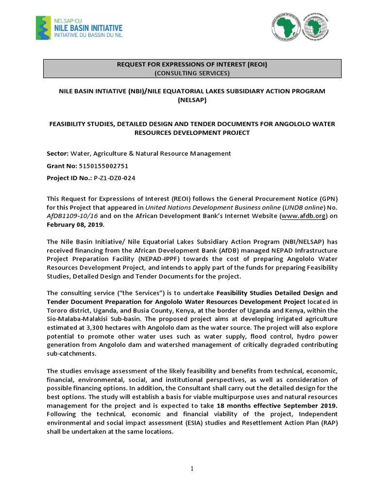 Angololo Dam Project Consulting Services | PDF | Water Resources ...