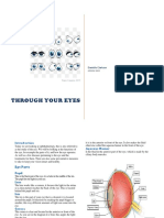 Understanding Normal Eye Anatomy | PDF | Facial Features | Eye