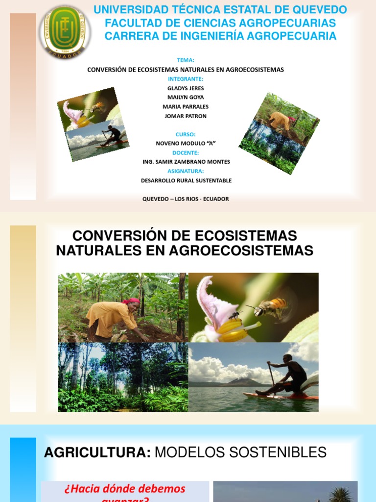 Ecosistemas Y Agroecosistemas _ La agroecología y los Objetivos de ...