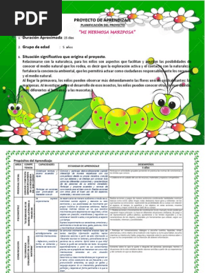 El Proyecto Mariposa Por MARIPOSA ES EL VERDADERO NOMBRE DE LA