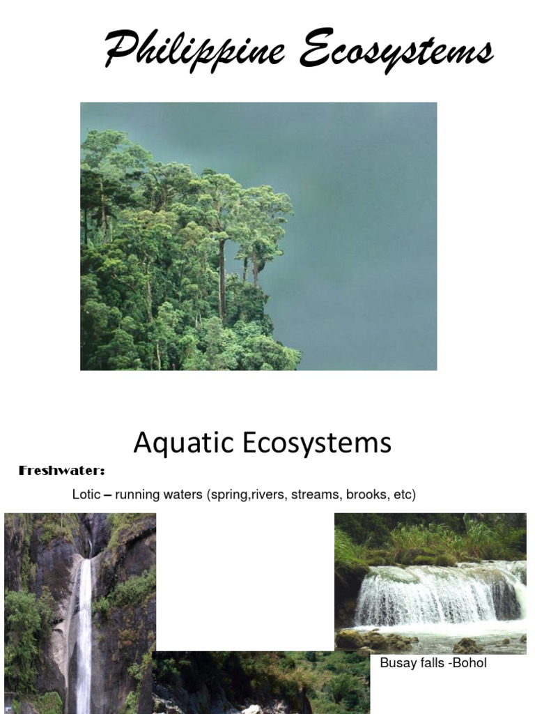 Philippine Aquatic and Terrestrial Ecosystems | PDF | Science & Mathematics