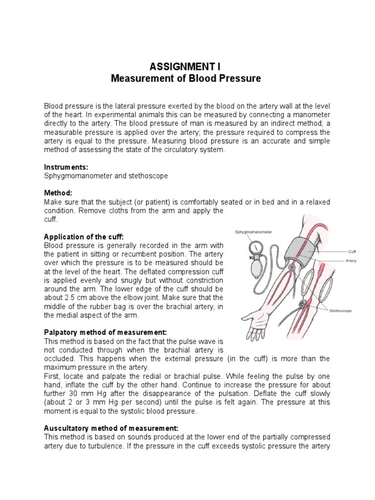 Blood Pressure Practical | PDF | Blood Pressure | Physiology