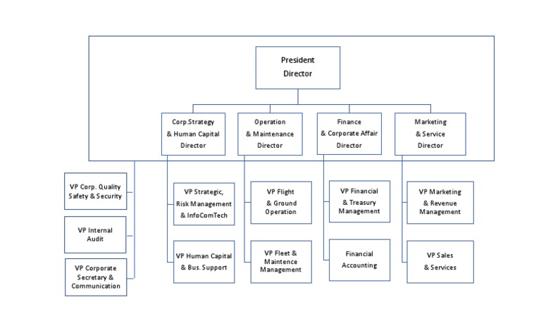 Struktur Organisasi Darapati Airlines 2019 | PDF | Business | Economies