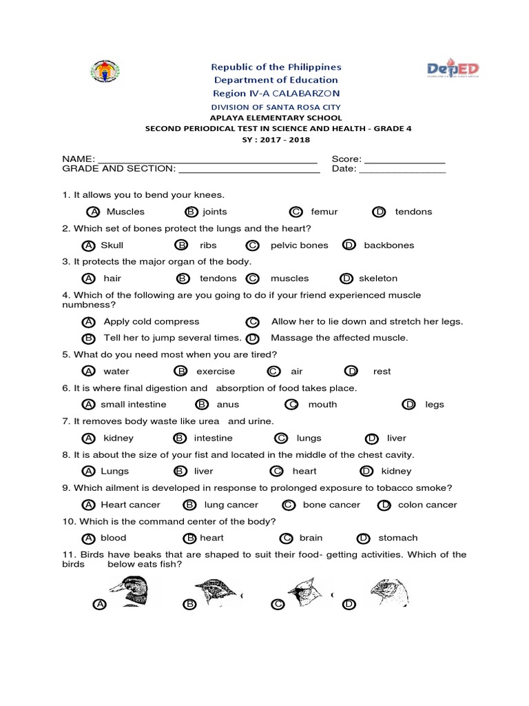 IV-Second Periodical Test in Science With TOS | PDF | Plants | Leaf