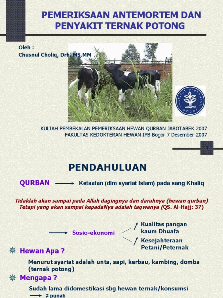 Pemeriksaan Antemortem Hewan Qurban | PDF