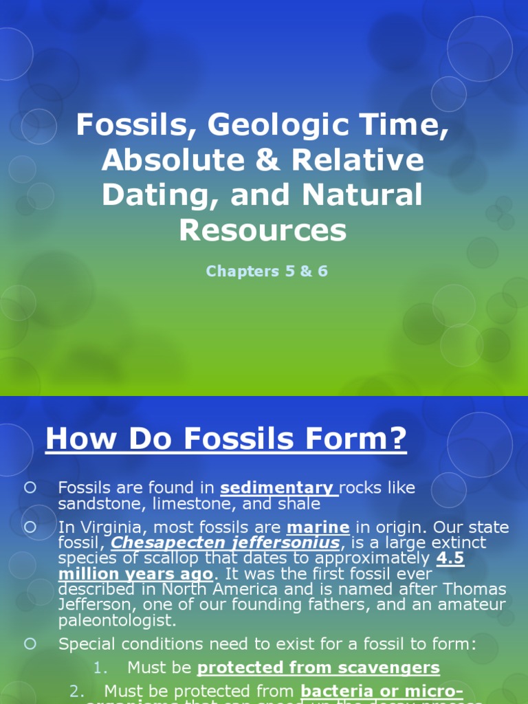 Geological Time Scale | PDF | Fossil | Geologic Time Scale