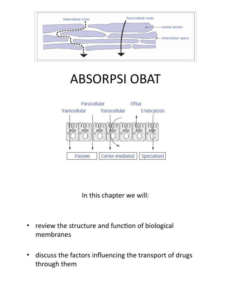 Absorpsi Obat | PDF | Lipid Bilayer | Biological Membrane