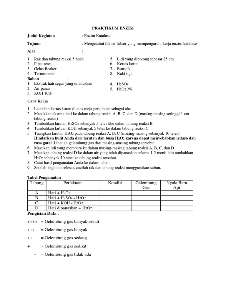 LKPD Praktikum Enzim | PDF
