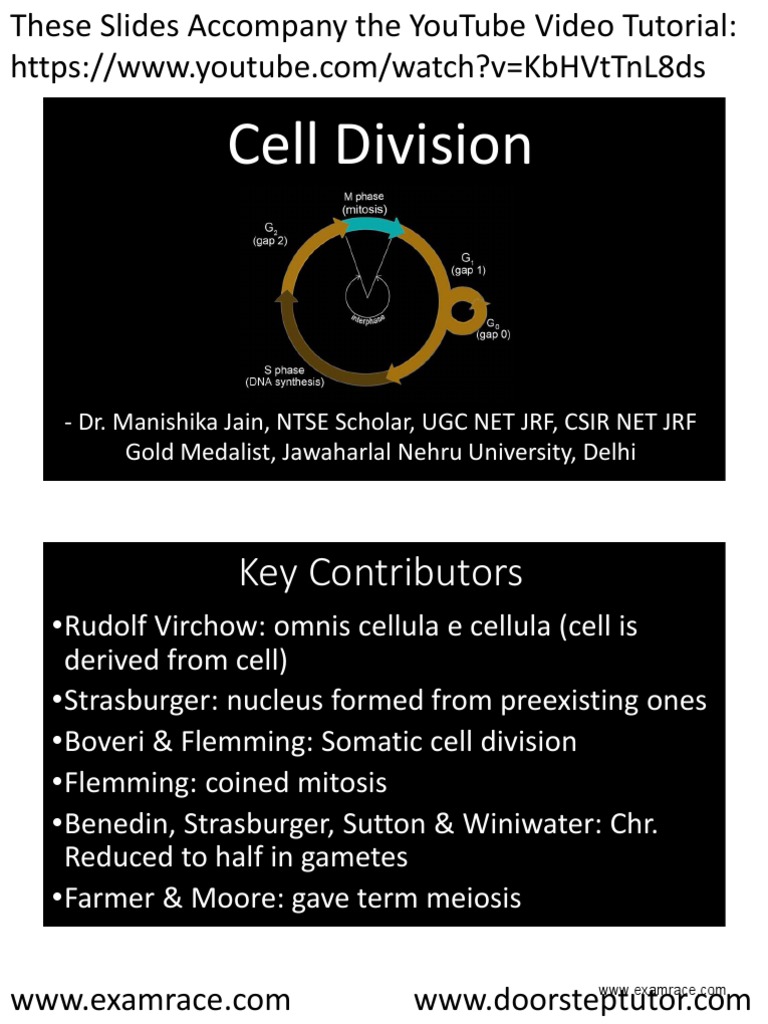 Cell Cycle YouTube Lecture Handouts | PDF