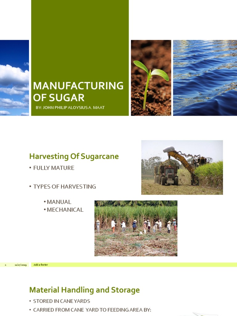 Sugar Manufacturing Process Guide | PDF | Sugarcane | Crystallization