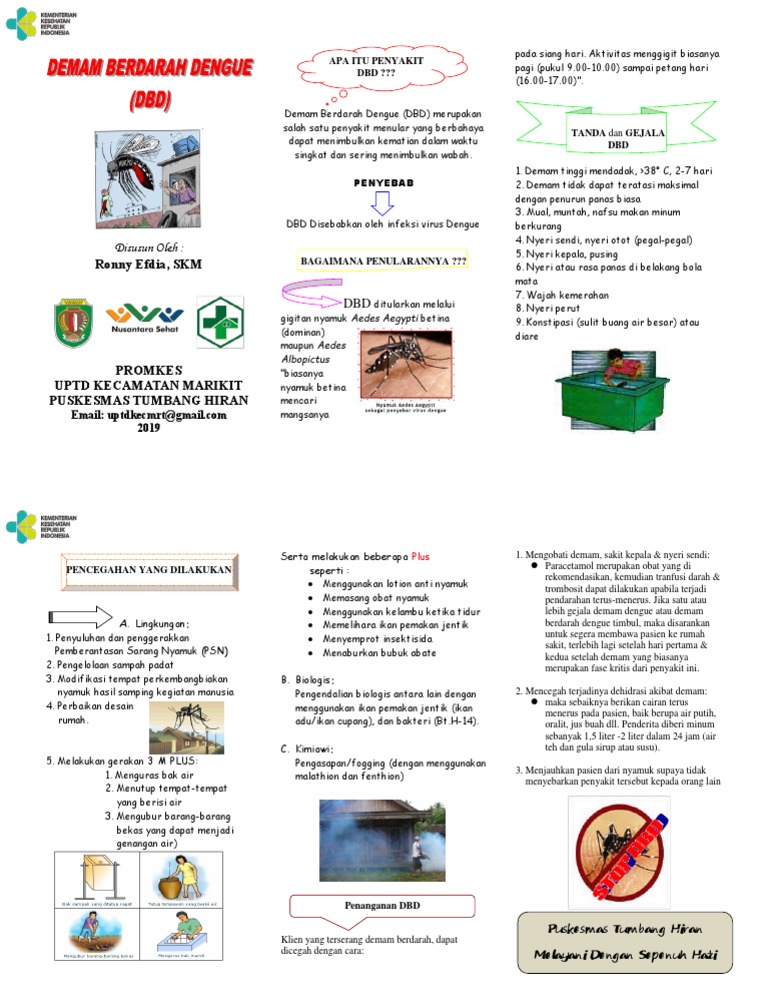 Leaflet Demam Berdarah (DBD) 2 | PDF