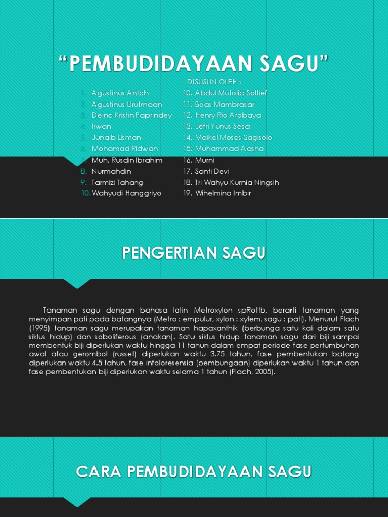 Sosialisasi Dan Pembudidayaan Sagu | PDF