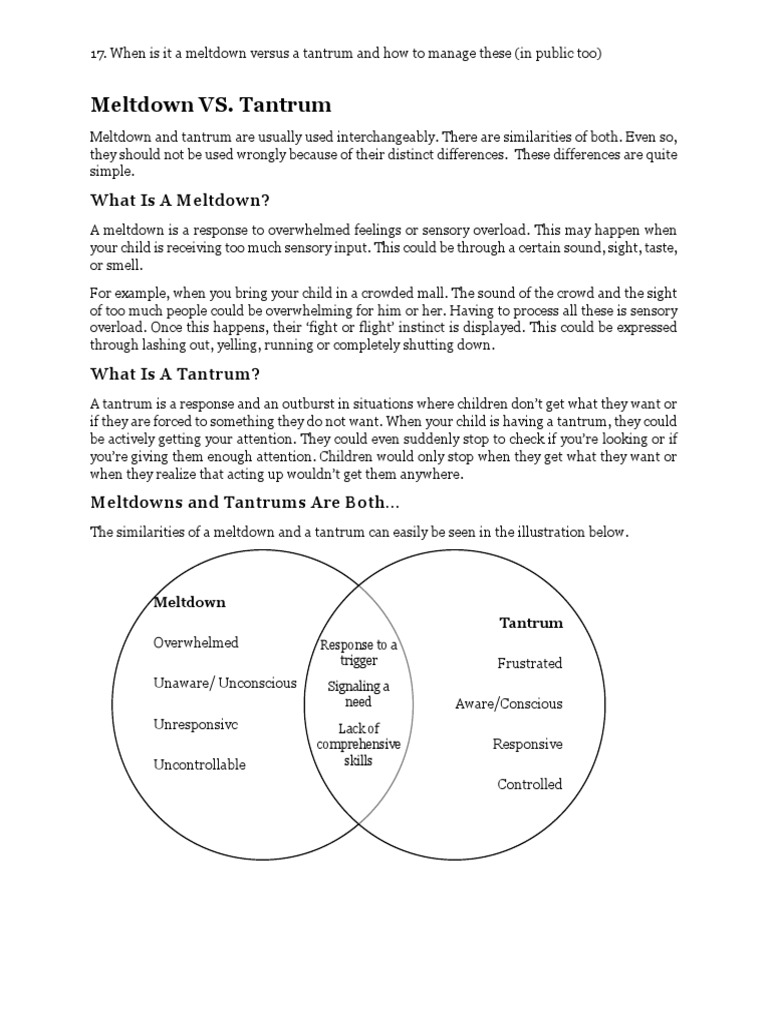 Meltdown VS. Tantrum: What Is A Meltdown? | PDF | Psychological ...