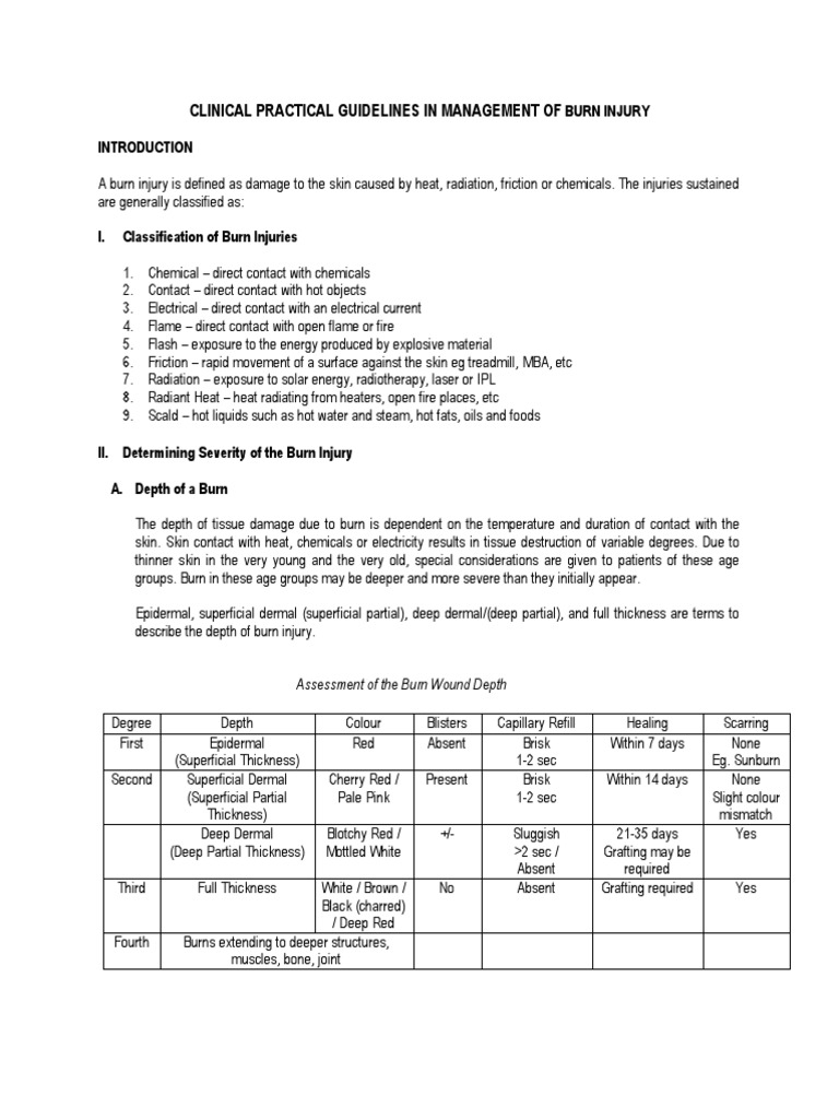 Clinical Guidelines Burn Injury Management | PDF | Burn | Intravenous ...