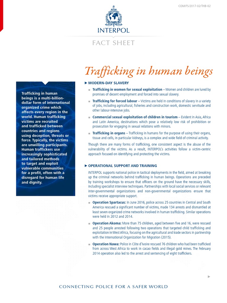 Fact Sheet - Trafficking in Human Beings PDF | PDF | Human Trafficking ...