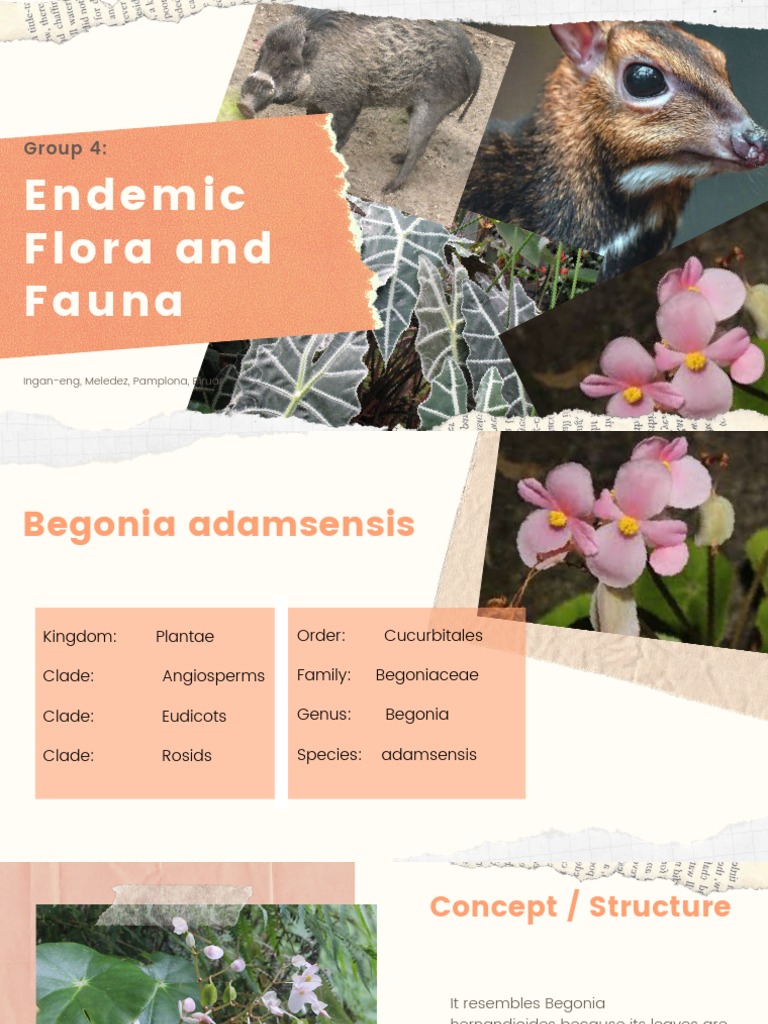 Endemic Flora and Fauna | PDF | Organisms | Plants