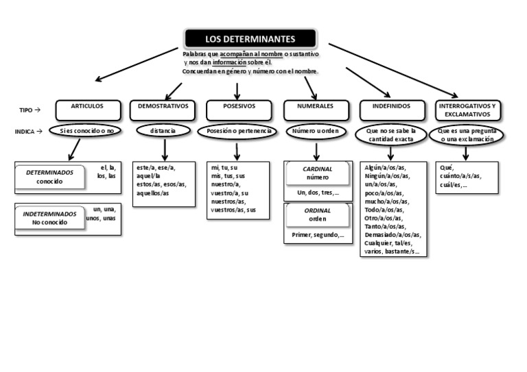 Tipos y Clases de Determinantes | PDF