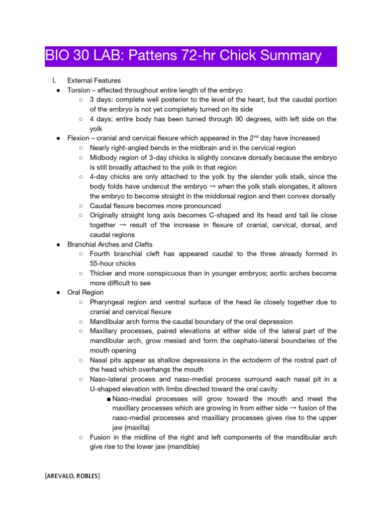 Chick Embryo Development: 72-Hour Summary | PDF | Aorta | Heart
