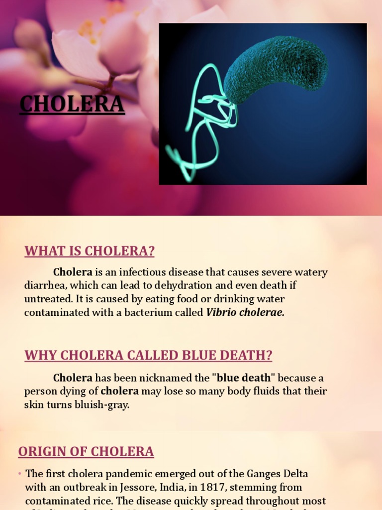 What is Cholera? Causes, Symptoms, Treatment (38 characters | PDF ...
