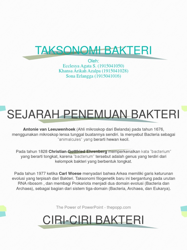 Taksonomi dan Klasifikasi Bakteri | PDF | Sains & Matematika