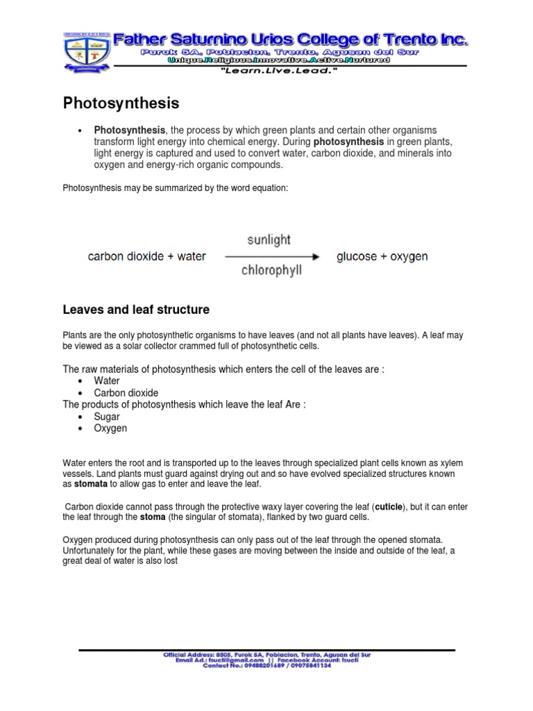 Photosynthesis: Leaves and Leaf Structure | PDF | Photosynthesis ...