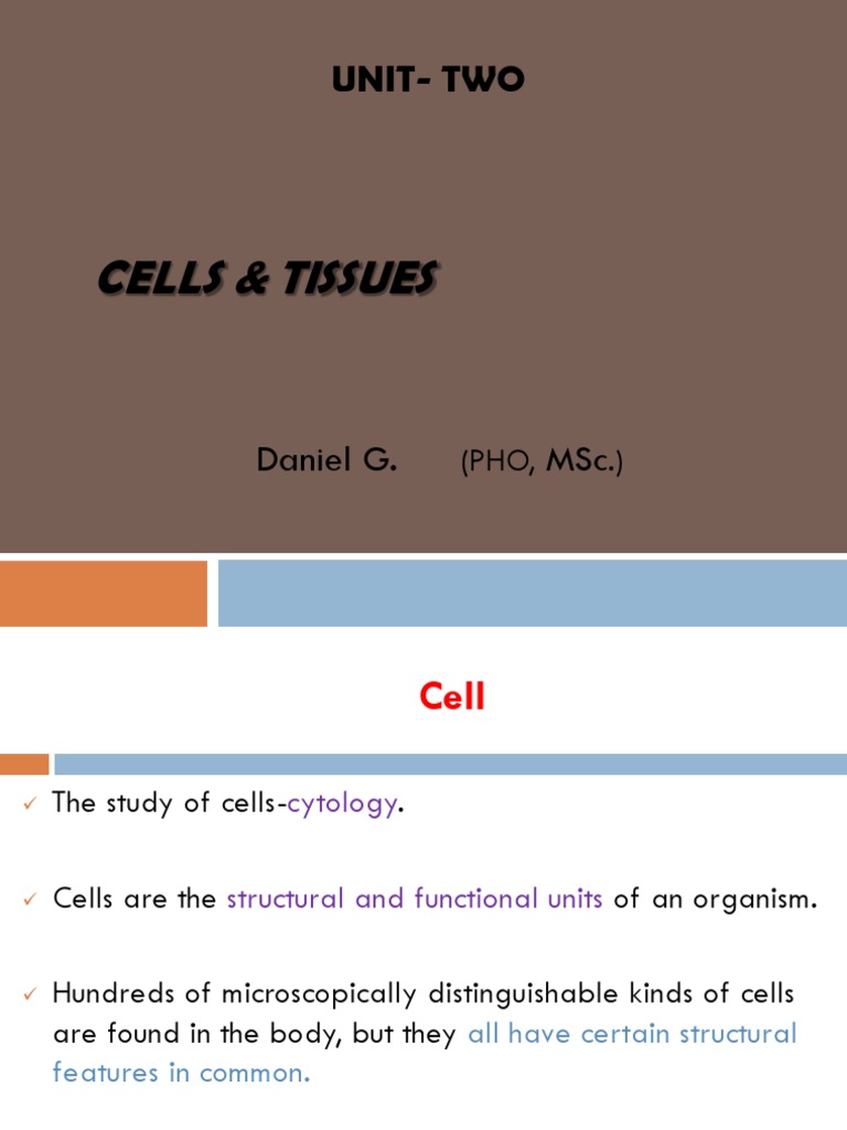 2 Cell and Tissue | PDF | Epithelium | Endoplasmic Reticulum