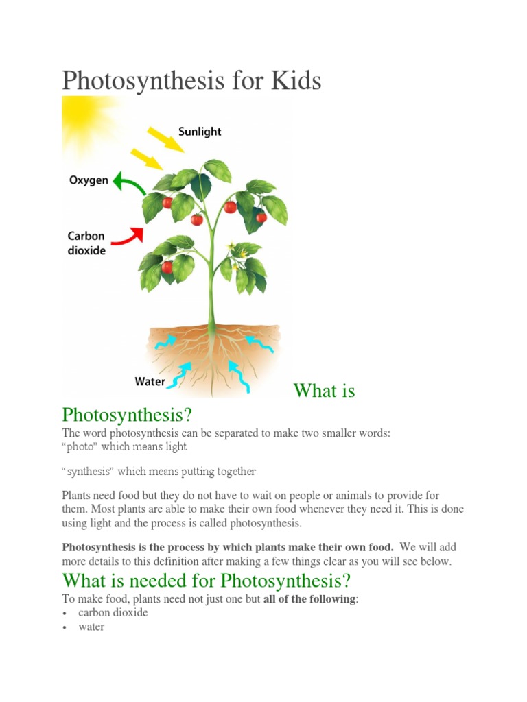 Letter For Renewal | PDF | Photosynthesis | Plant Physiology
