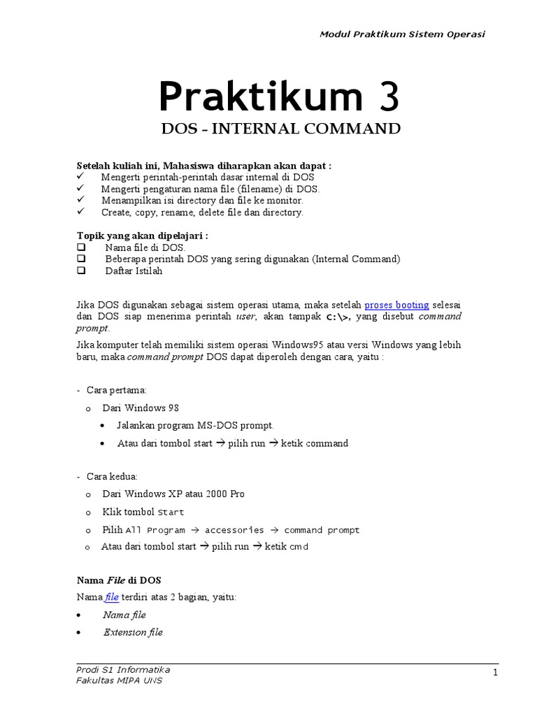 Modul - Dos Internal Command | PDF