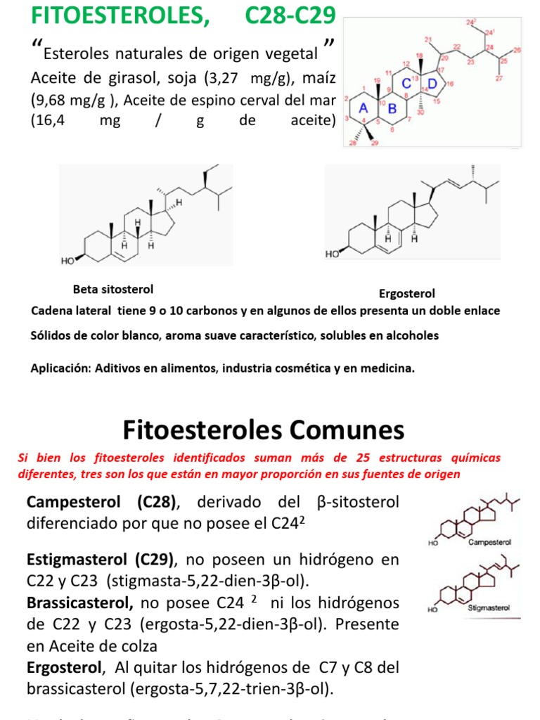 Fitoesteroles Ep1 | PDF | Colesterol | Digestión