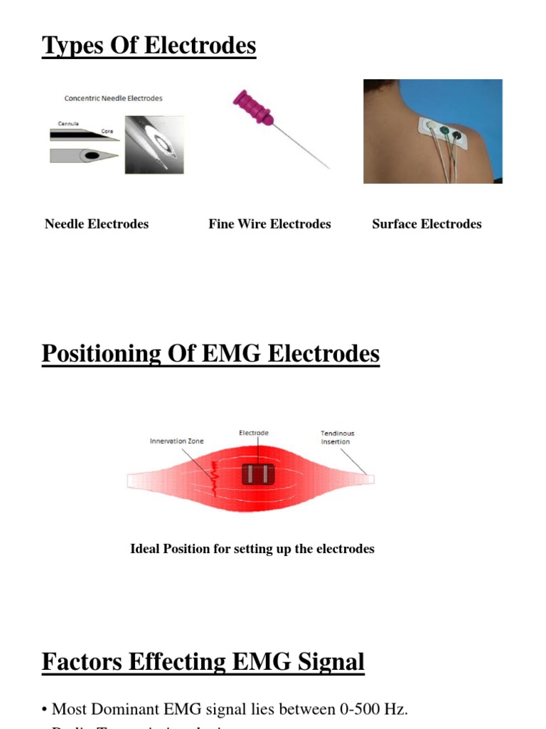 EMG | PDF