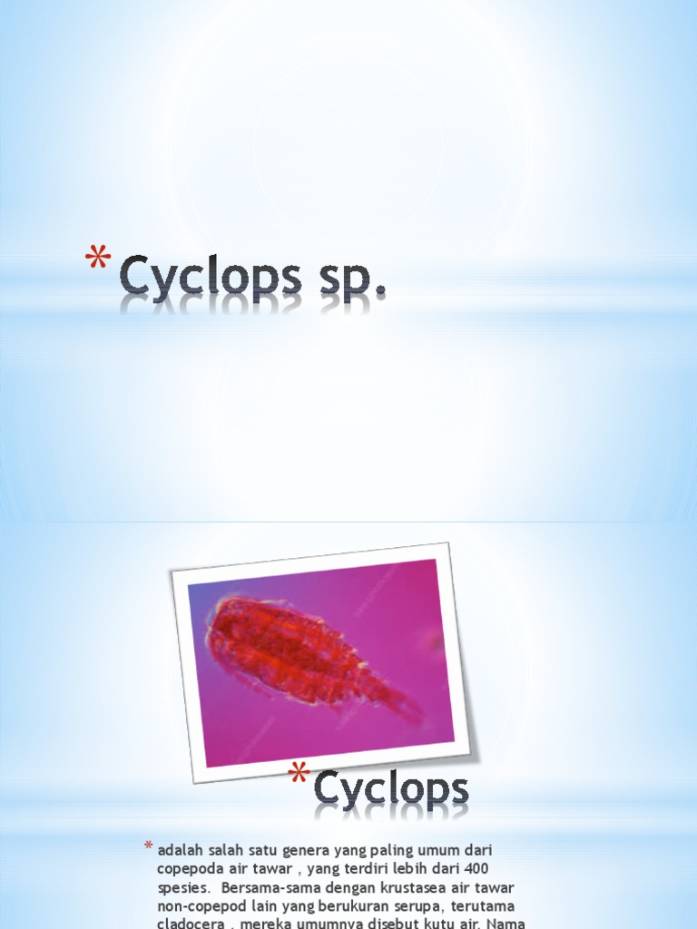 Cyclops SP | PDF