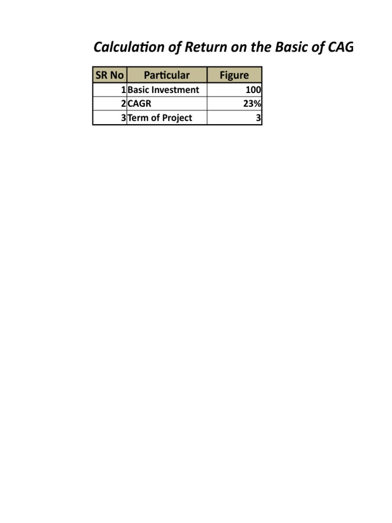 Calculation of Return On The Basic of CAGR: SR No Particular | PDF ...