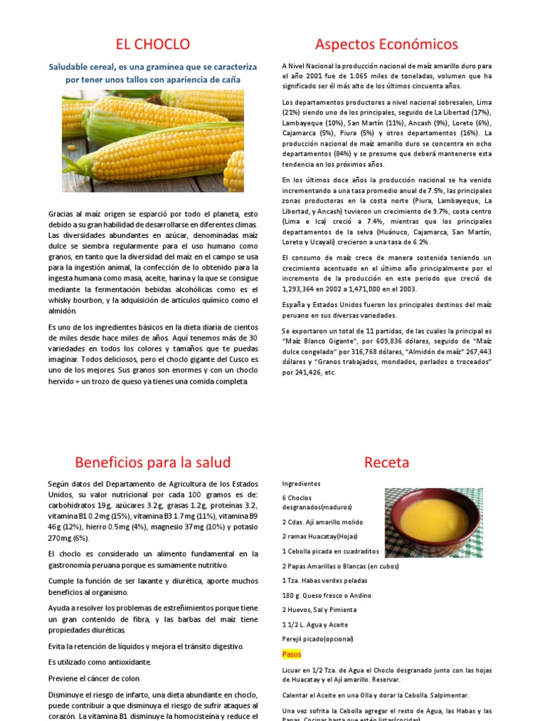 El Choclo | PDF | Maíz | Cereales