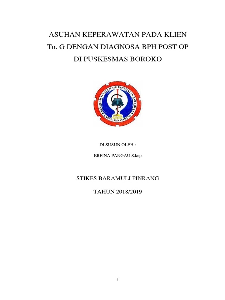 Asuhan Keperawatan BPH Pasca Operasi | PDF | Kesehatan Holistik