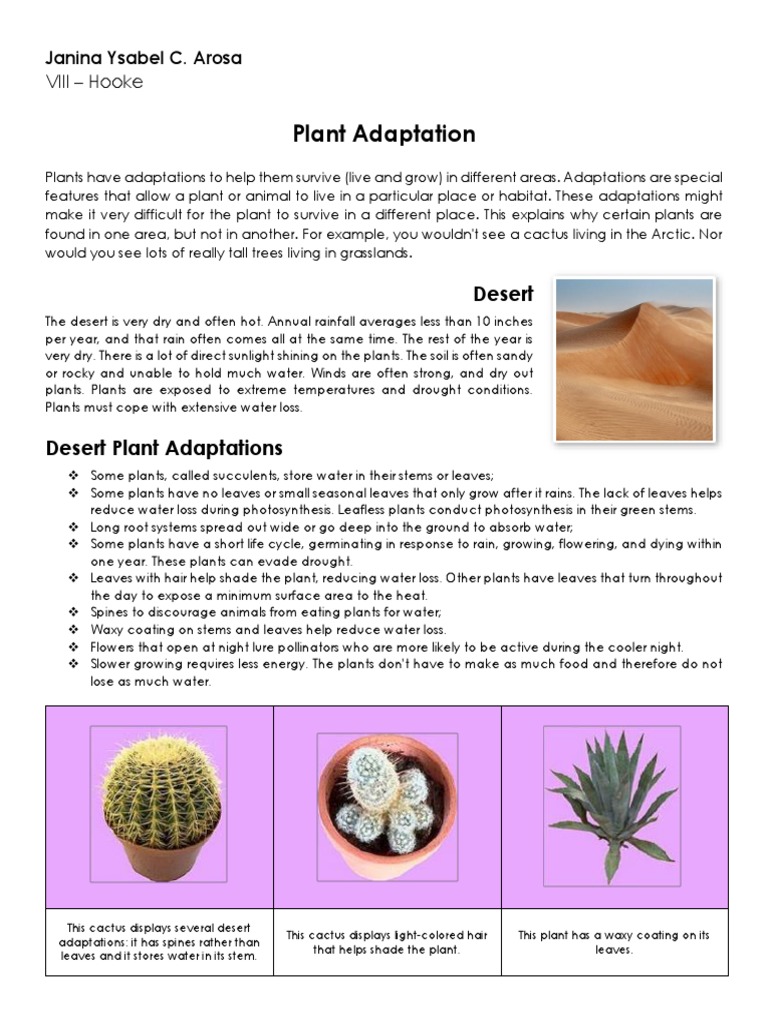 Plant Adaptations | PDF | Rainforest | Plants