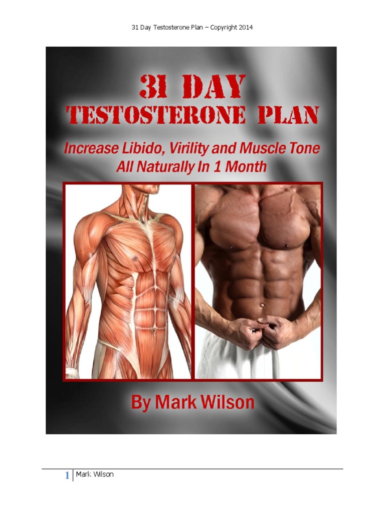 31 Day Program | PDF | Testosterone | Weight Training