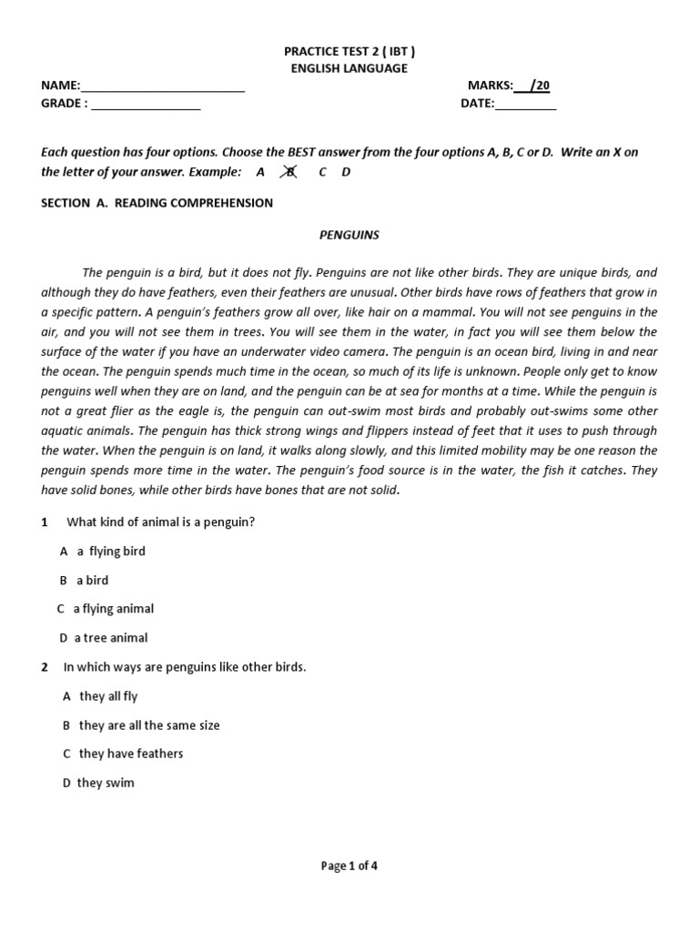 Ibt English Practice Test 3 | PDF | Penguin | Feather
