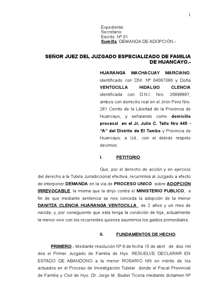 Demanda de Adopcion | PDF | Adopción | Demanda judicial