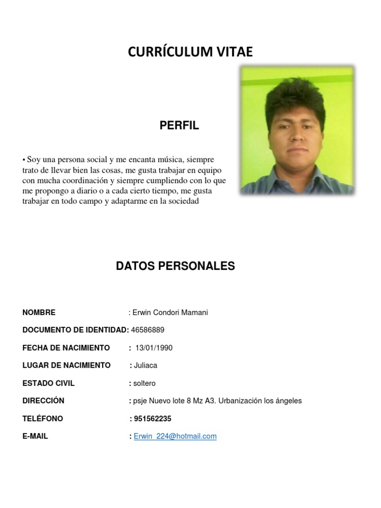 Currículum Vitae Erwin | PDF | Informática | Business