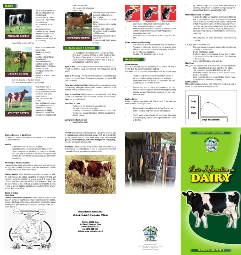 Basic Information On Dairy 2013 | PDF | Dairy Cattle | Cattle