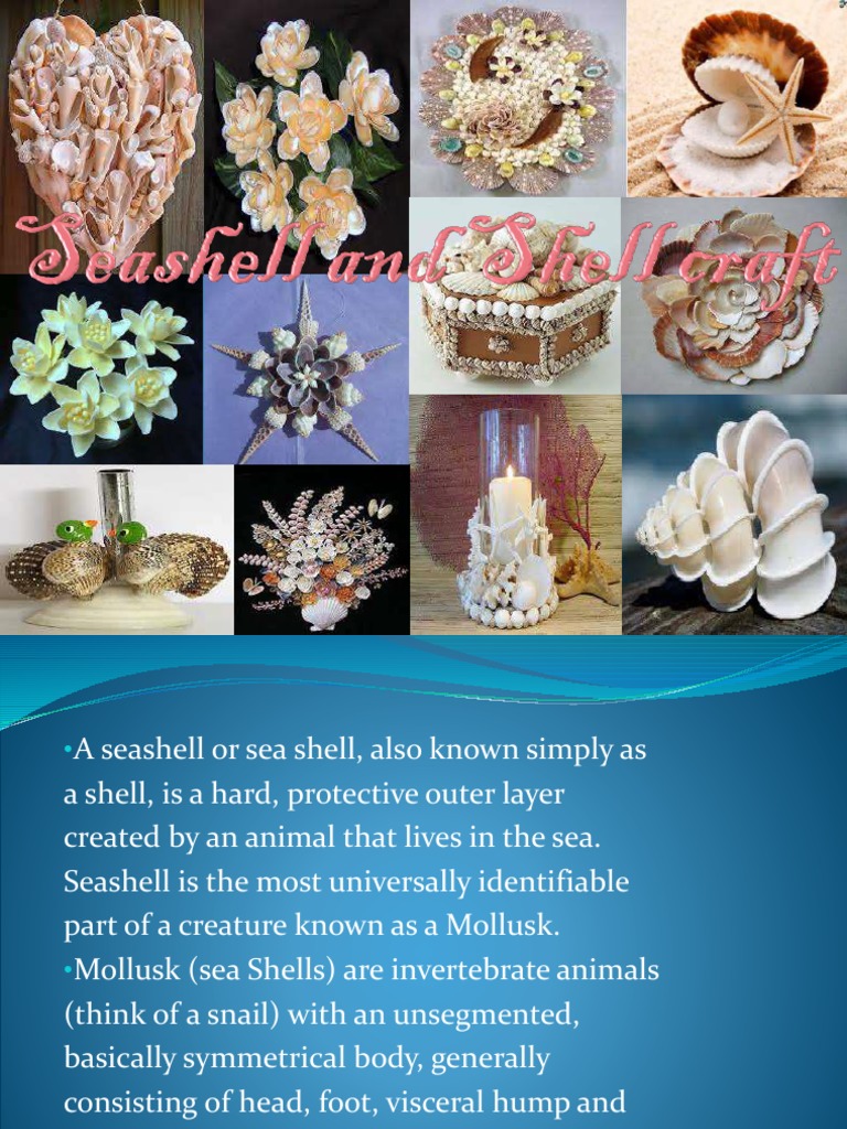 Seashell and Shell Craft | PDF | Mollusca | Pearl