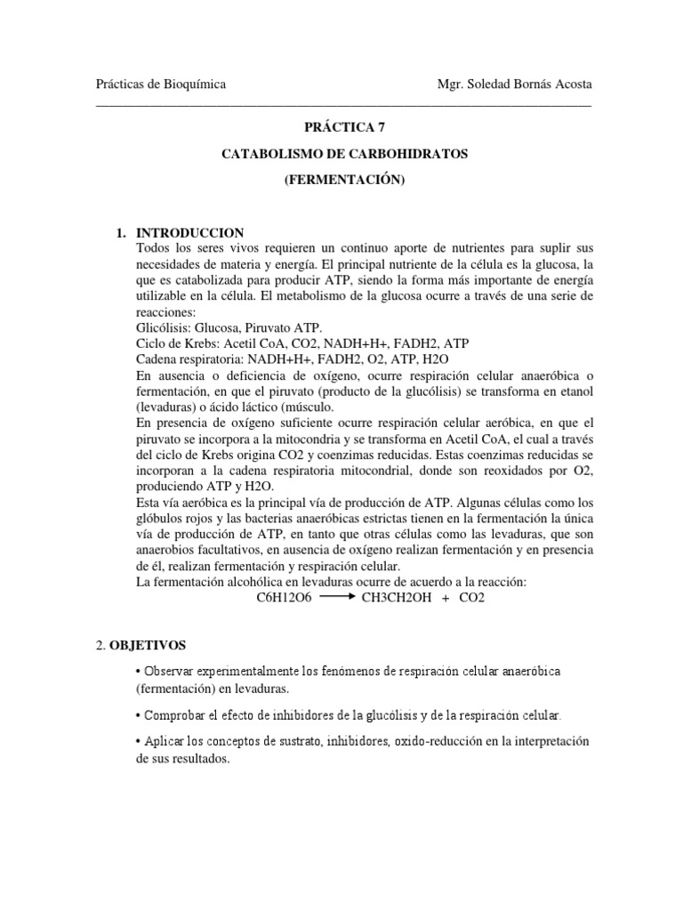 Informe De Bioquimica 6 Pdf Glucólisis Fermentación