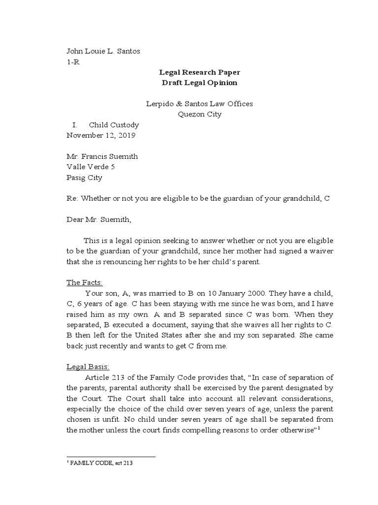 Sample Legal Opinion | PDF | Child Custody | Affidavit